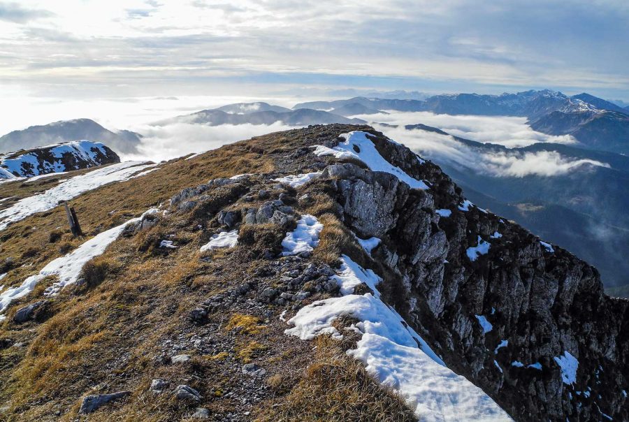 Hohe Veitsch von der Brunnalm » Wanderungen und Bergtouren
